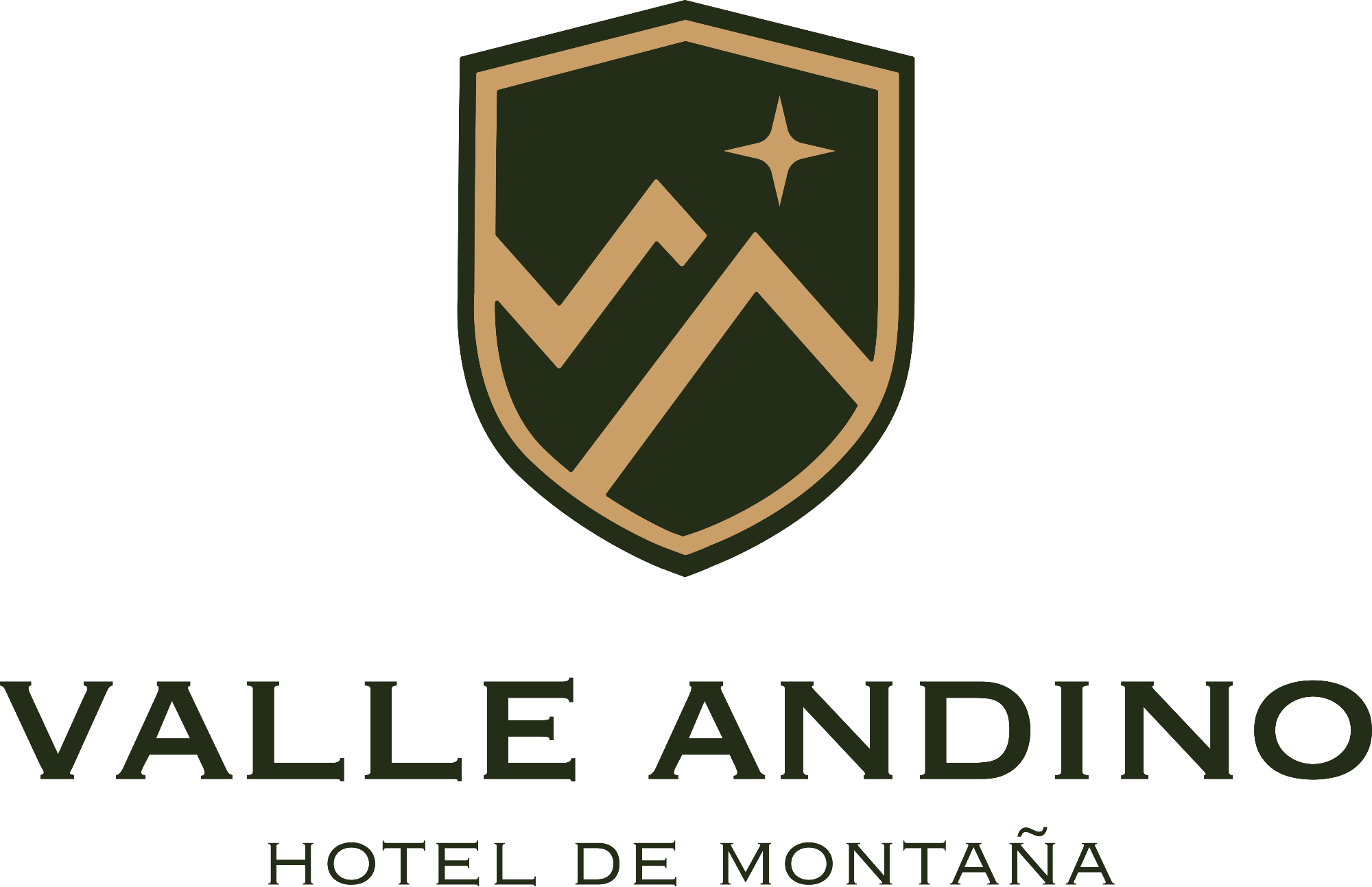 Inicio - Valle Andino